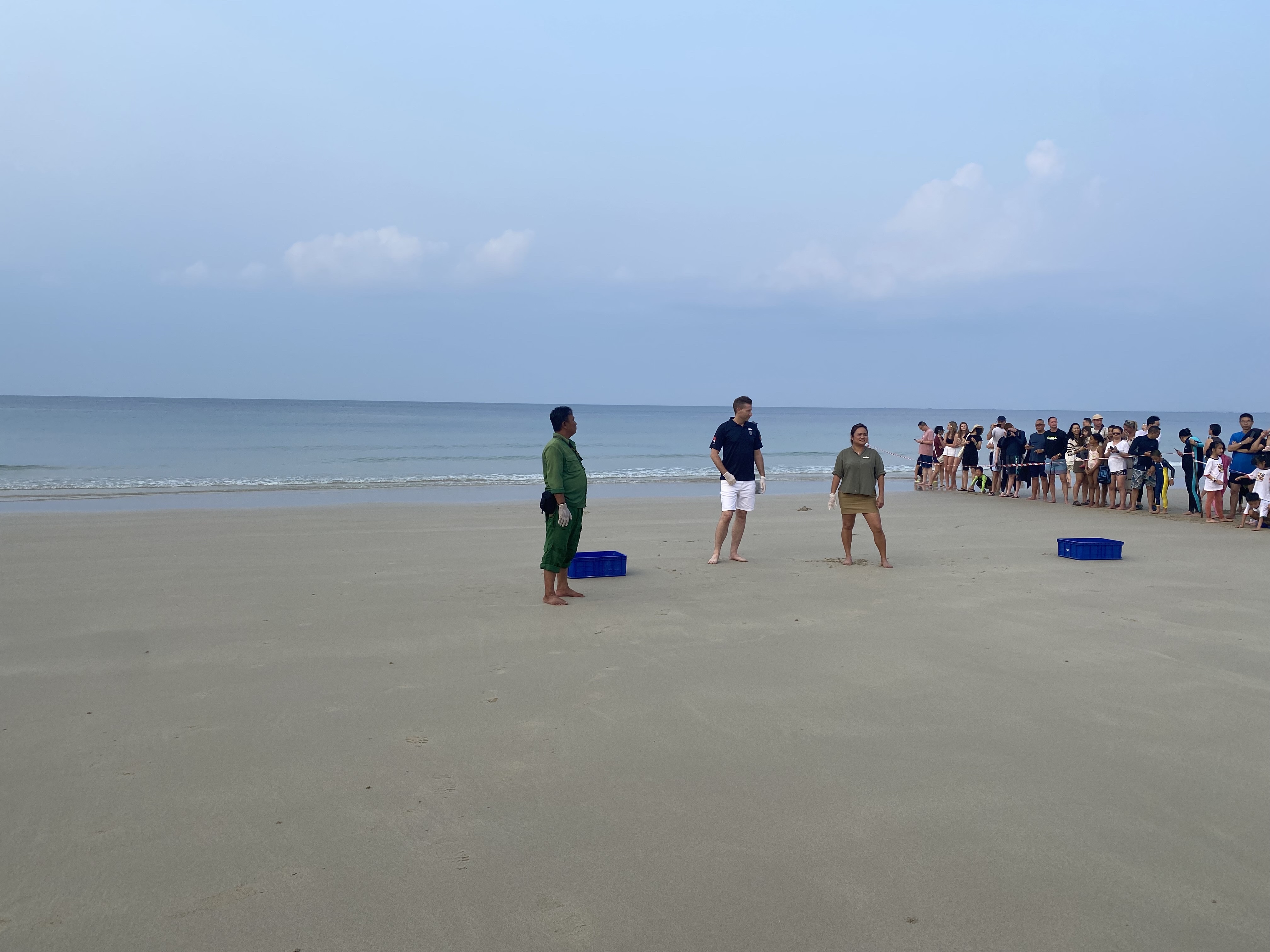 Baby turtle release – Bintan, Indonesia – The Travel Bee