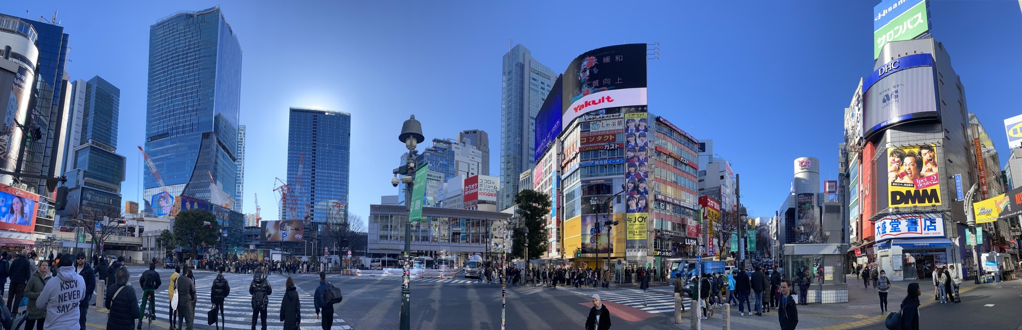 Shibuya scramble, Scottish folds and Sumo – The Travel Bee