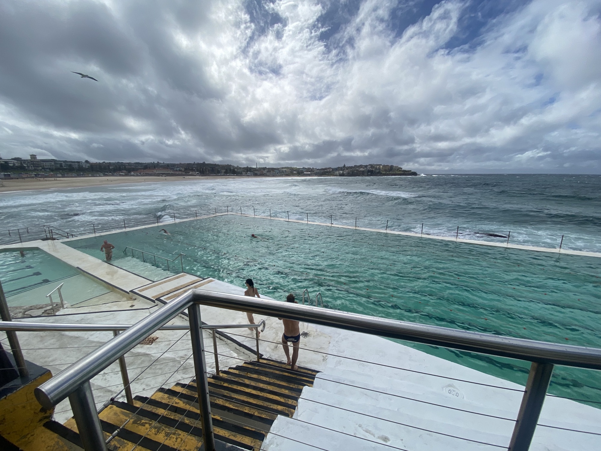 The Ocean Pools of Sydney – Part 2: Icebergs, Bondi – The Travel Bee
