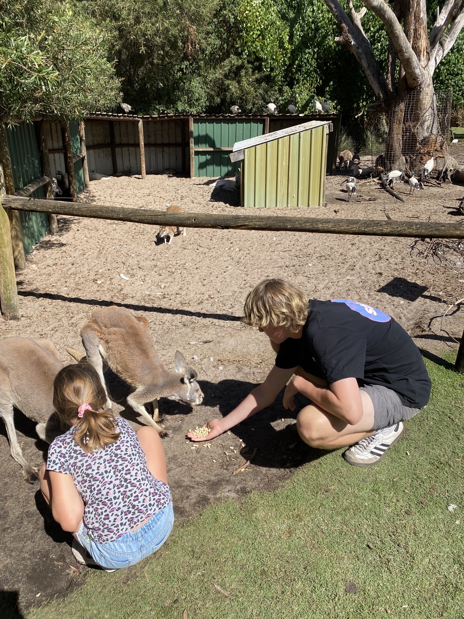 Magic Perth – Western Australia – The Travel Bee